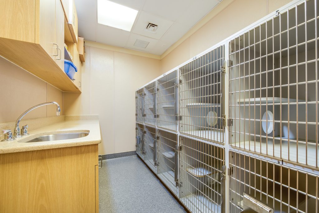 Our Facility – Santa Barbara Animal Hospital