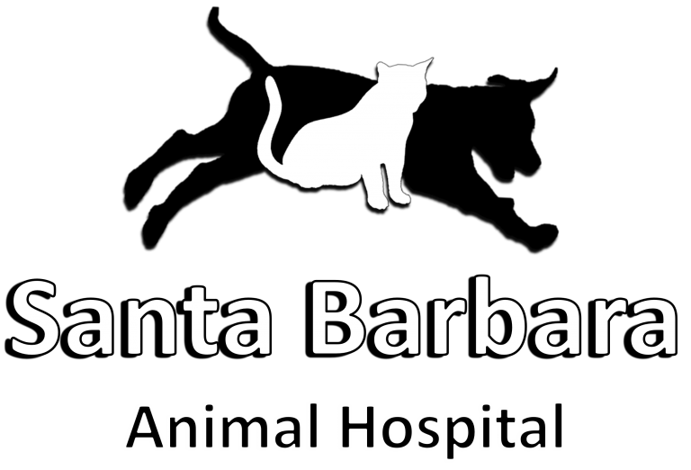 Santa Barbara Animal Hospital – Exceptional Veterinary Healthcare