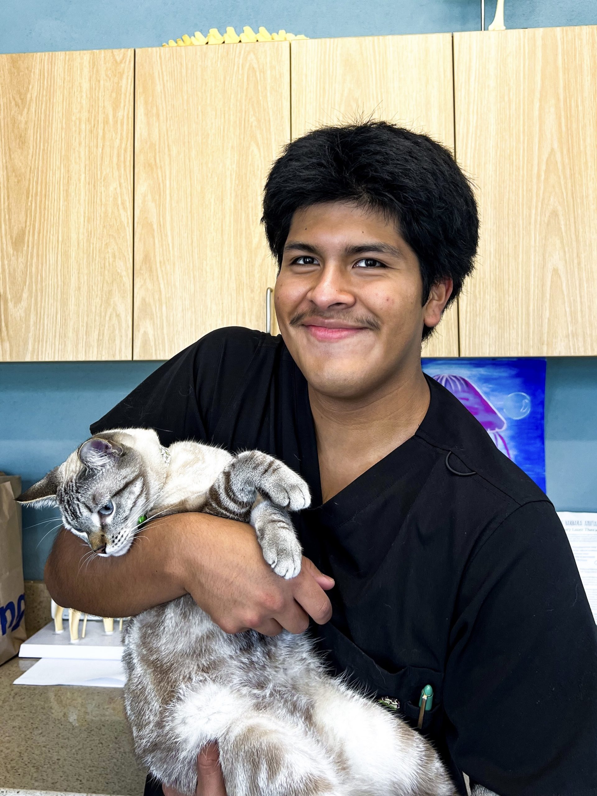 Our Team – Santa Barbara Animal Hospital